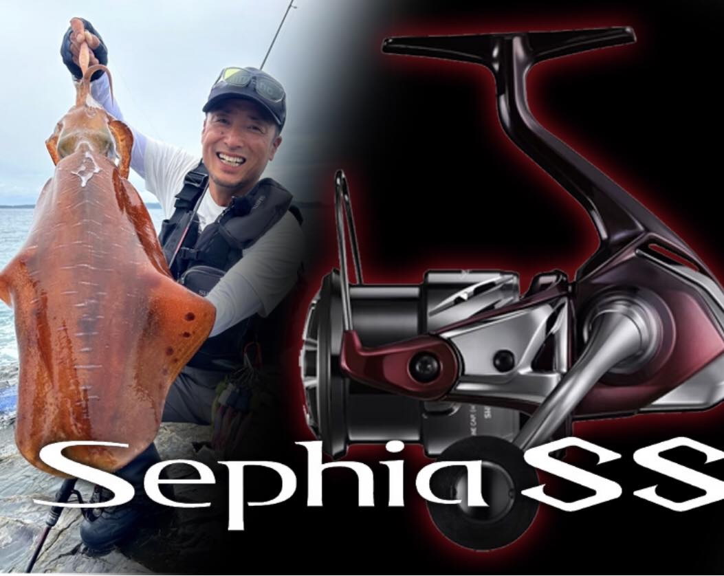 SHIMANO ：SEPHIA SS 魷魚🦑鉸 | 澳门岛野钓具